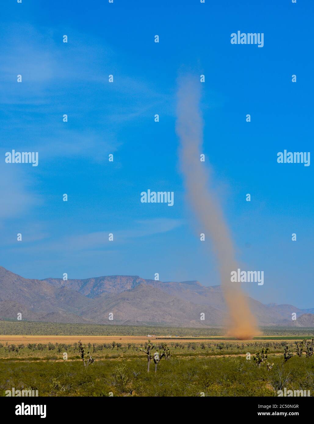 Dust Devil Whirlwind formed in the Sonoran Desert of Arizona Stock ...