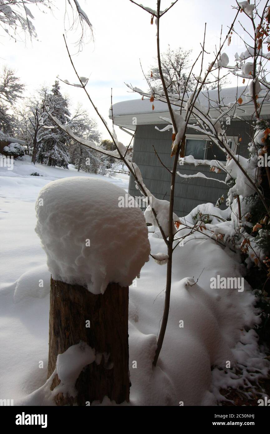 Major 12 inch powered fluffy light snow storm in Littleton Colorado ...
