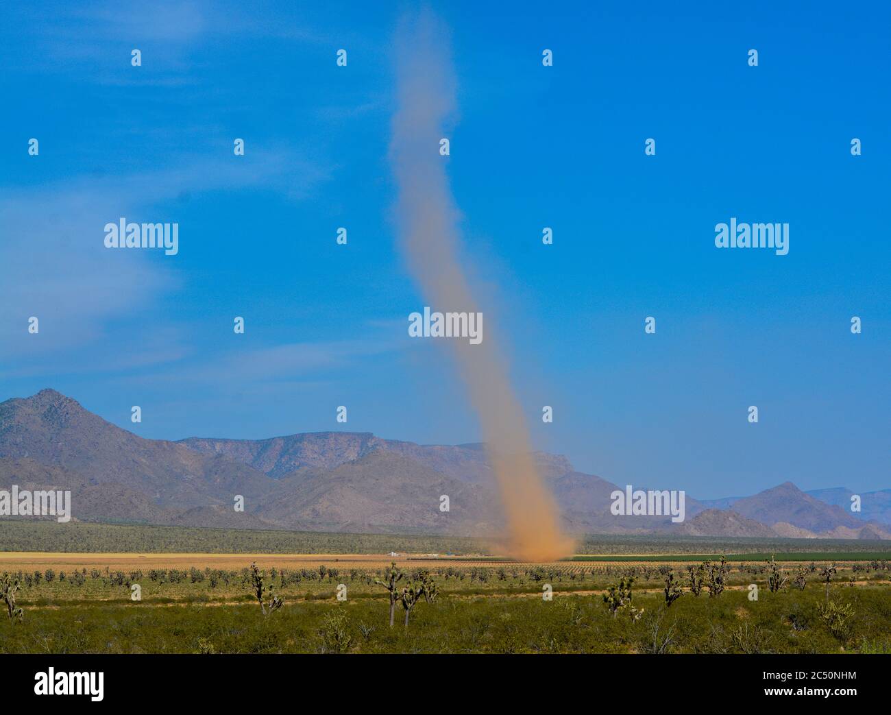 Dust Devil Whirlwind formed in the Sonoran Desert of Arizona Stock ...