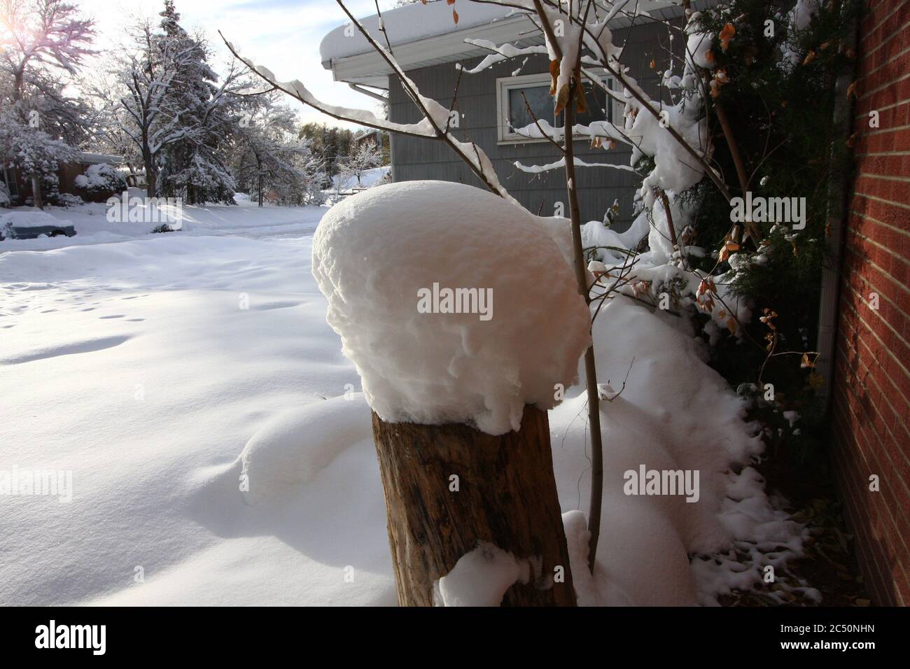 Major 12 inch powered fluffy light snow storm in Littleton Colorado ...