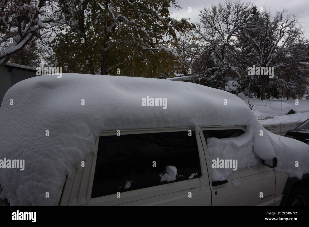 Major 12 inch powered fluffy light snow storm in Littleton Colorado ...