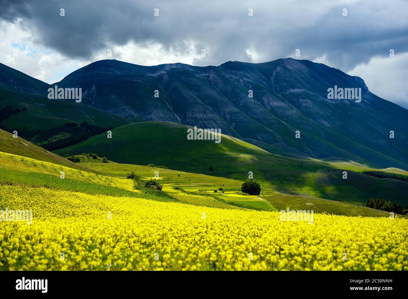 Lavish background hi-res stock photography and images - Alamy