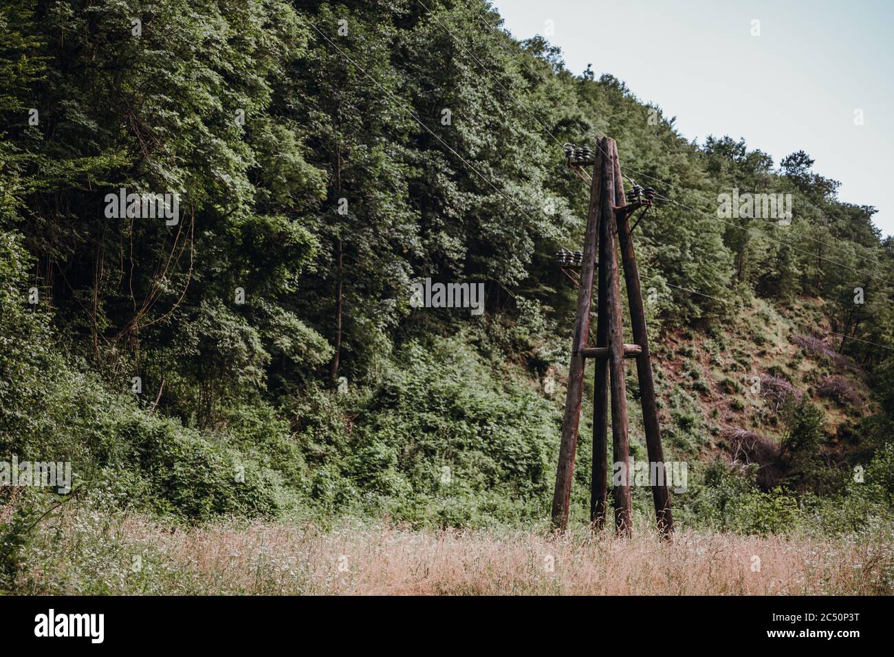 Old wood pole hi-res stock photography and images - Alamy