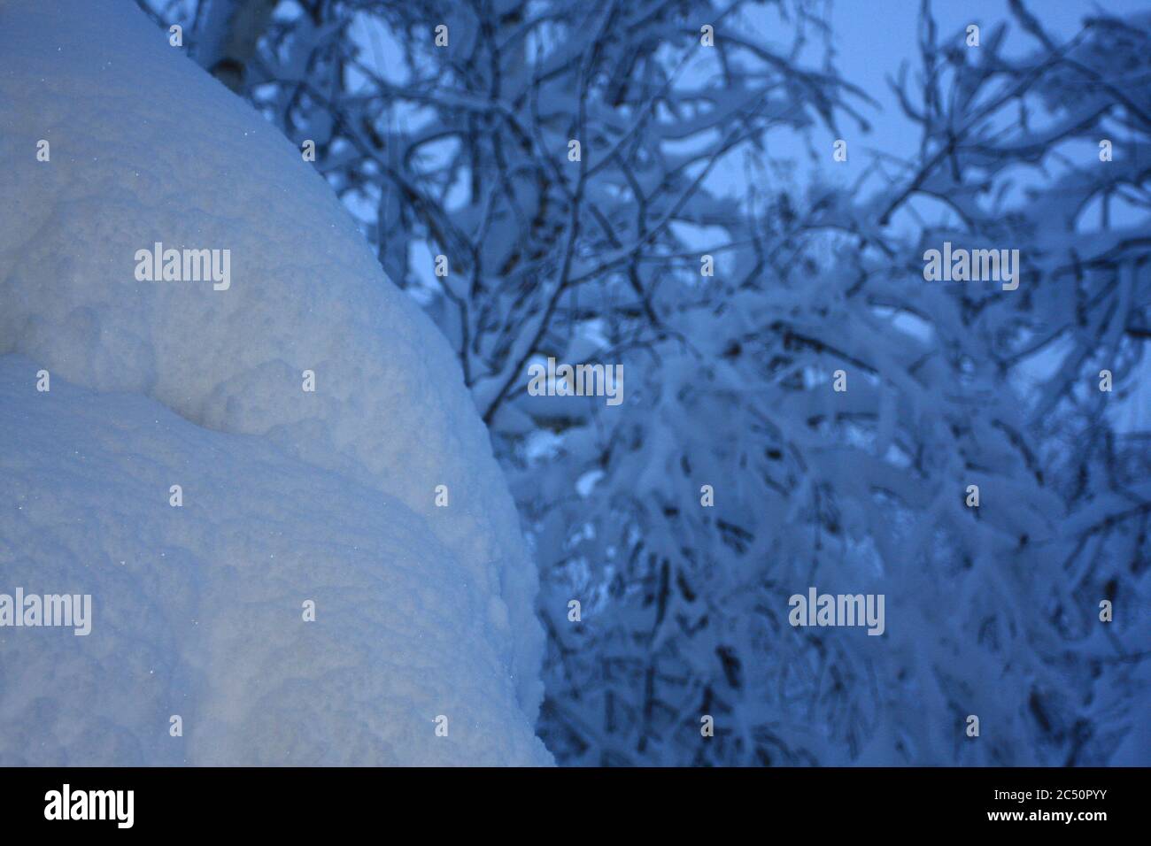 Major 12 inch powered fluffy light snow storm in Littleton Colorado ...