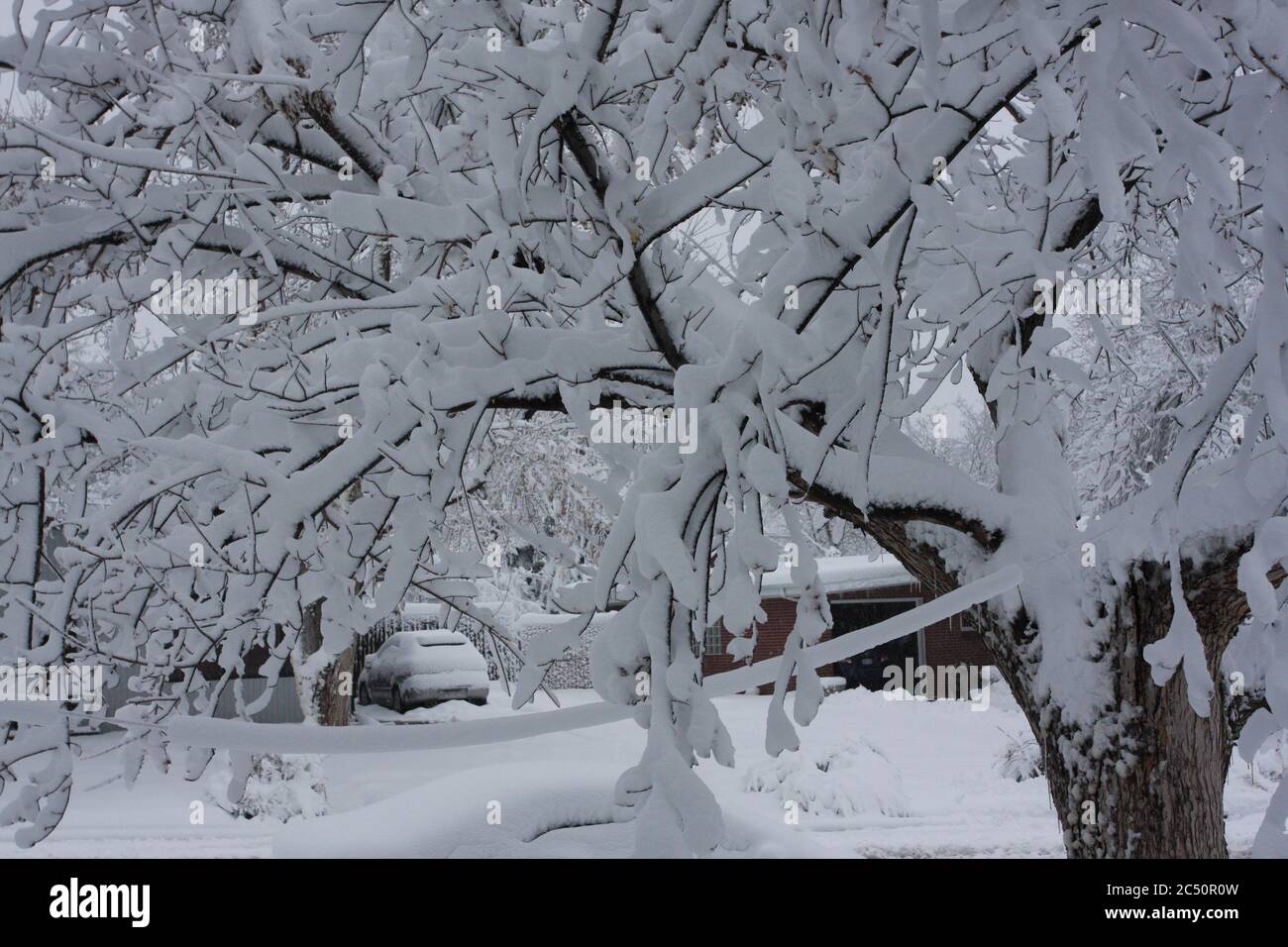 Colorado Snow Storm Today