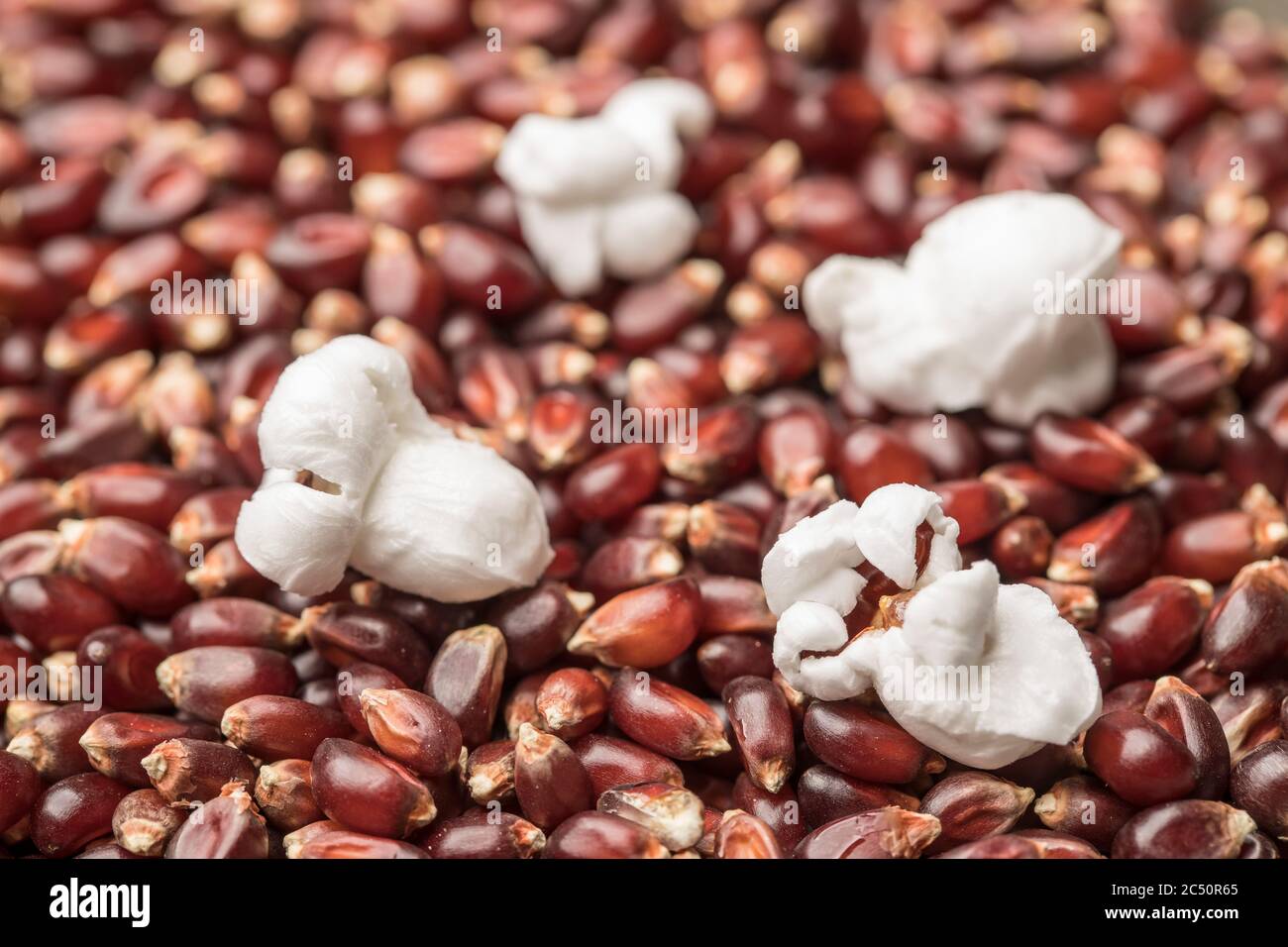A few popped kernels of popcorn on top of raw kernels Stock Photo - Alamy