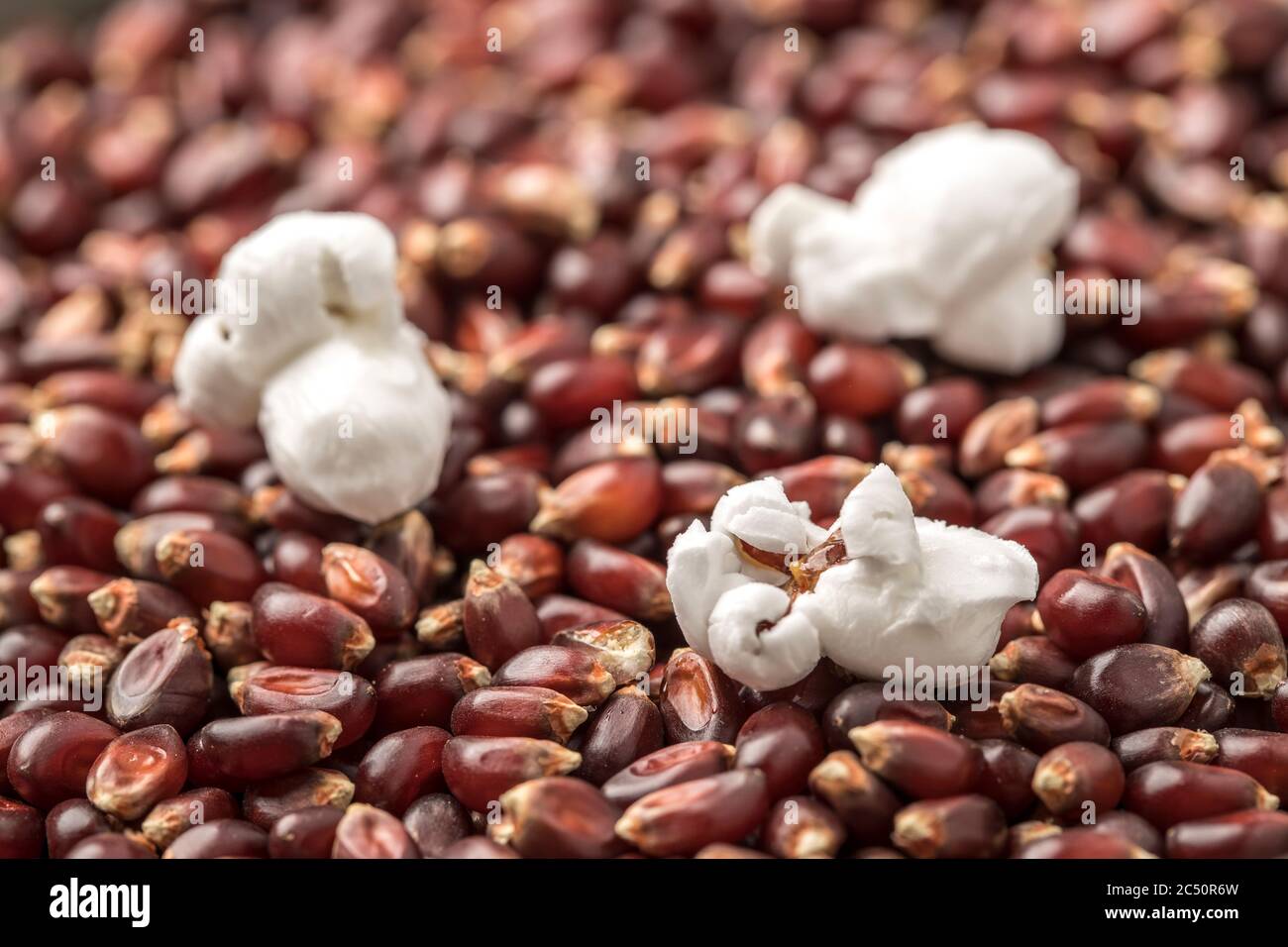 A few popped kernels of popcorn on top of raw kernels Stock Photo - Alamy