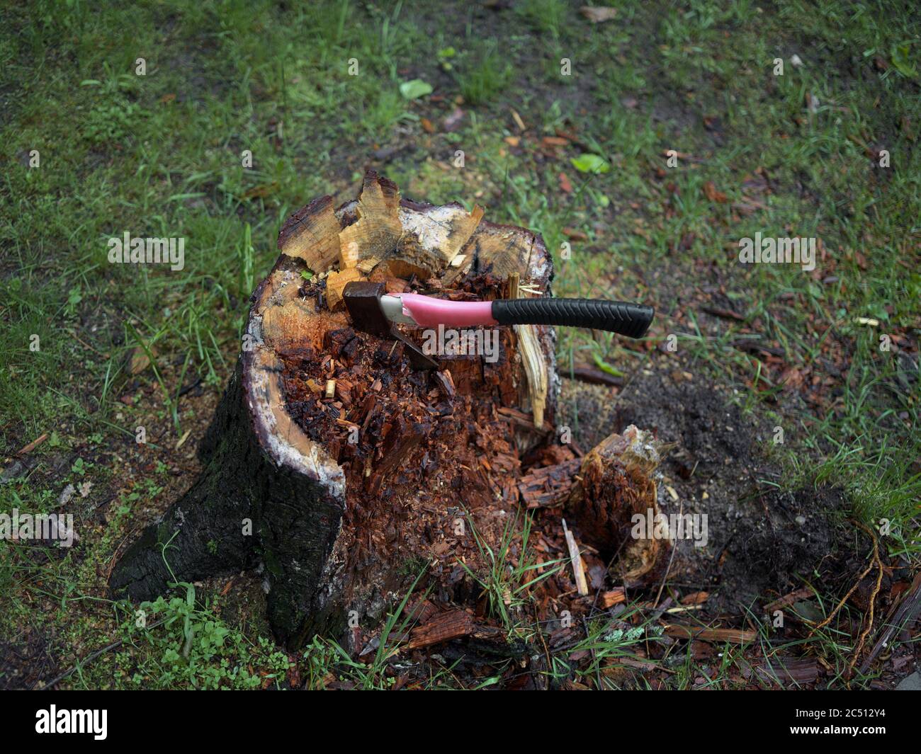 outdoor shot of a rotten tree stump and axe Stock Photo - Alamy
