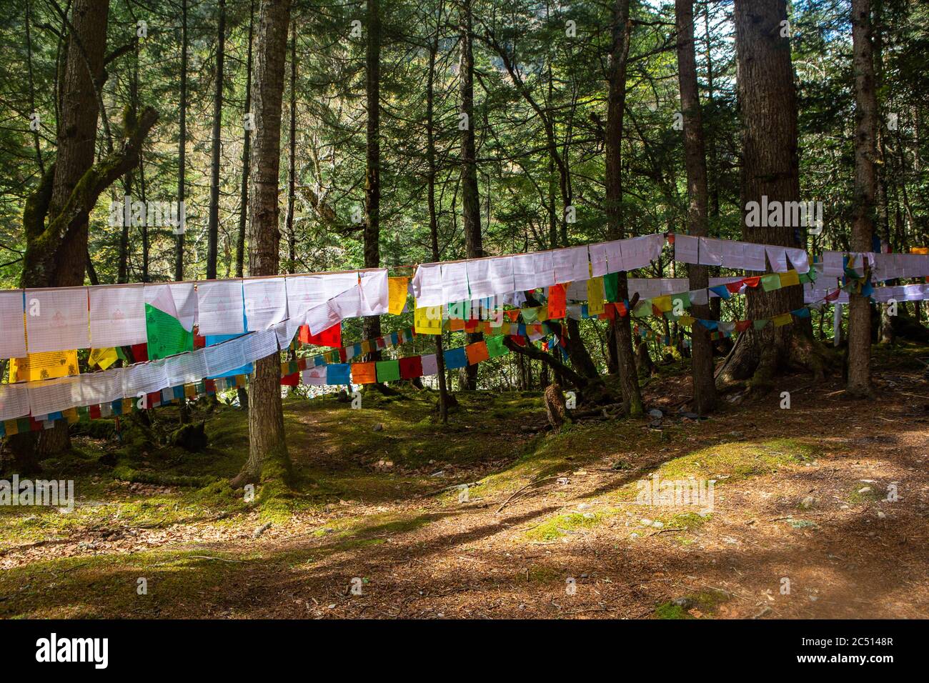 Prayer flags at roadside hi-res stock photography and images - Alamy