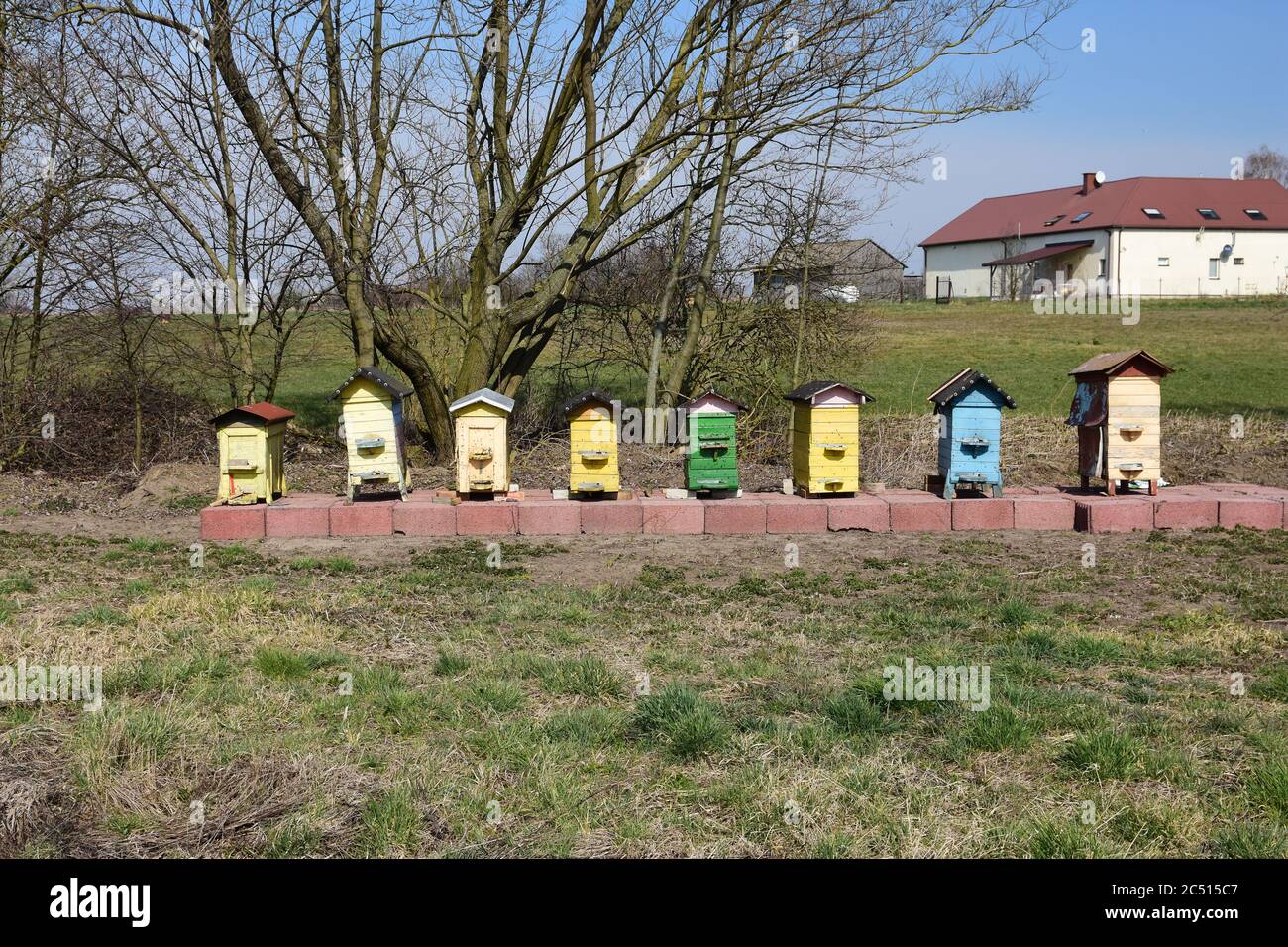 Beehives in spring sun hi-res stock photography and images - Alamy
