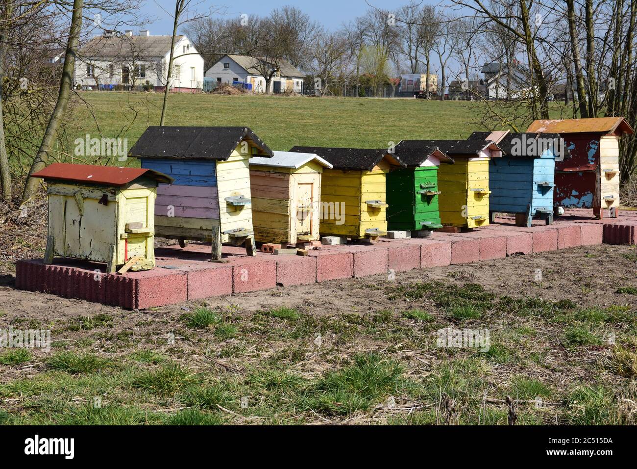 Colorful beehives and bees in the countryside. Sunny day Stock Photo ...