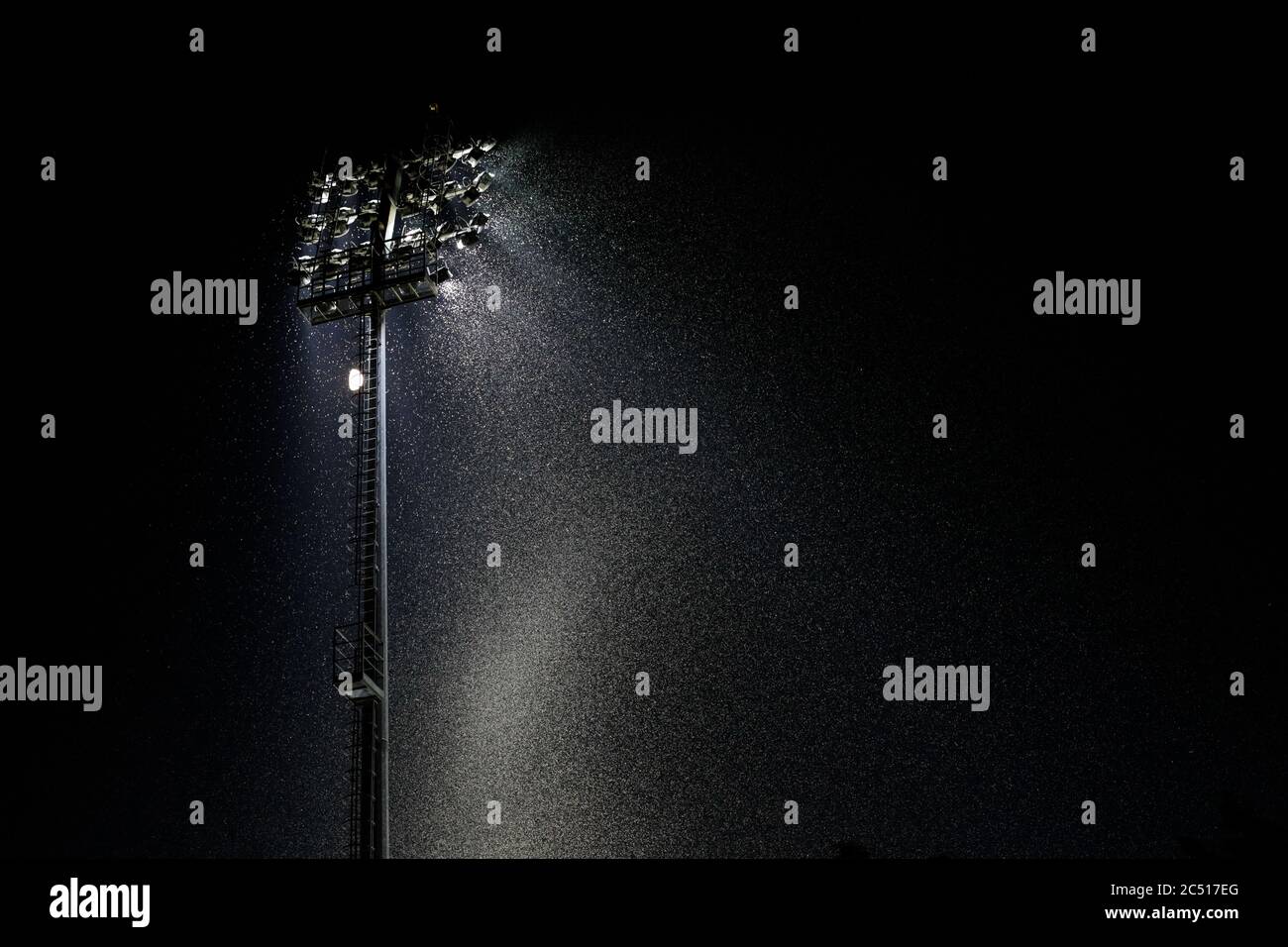 Night flying insects hi-res stock photography and images - Alamy