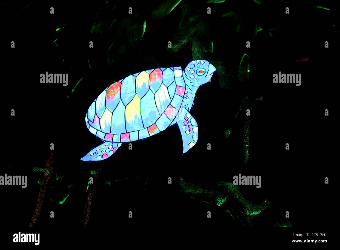 Turtle color hi-res stock photography and images - Alamy
