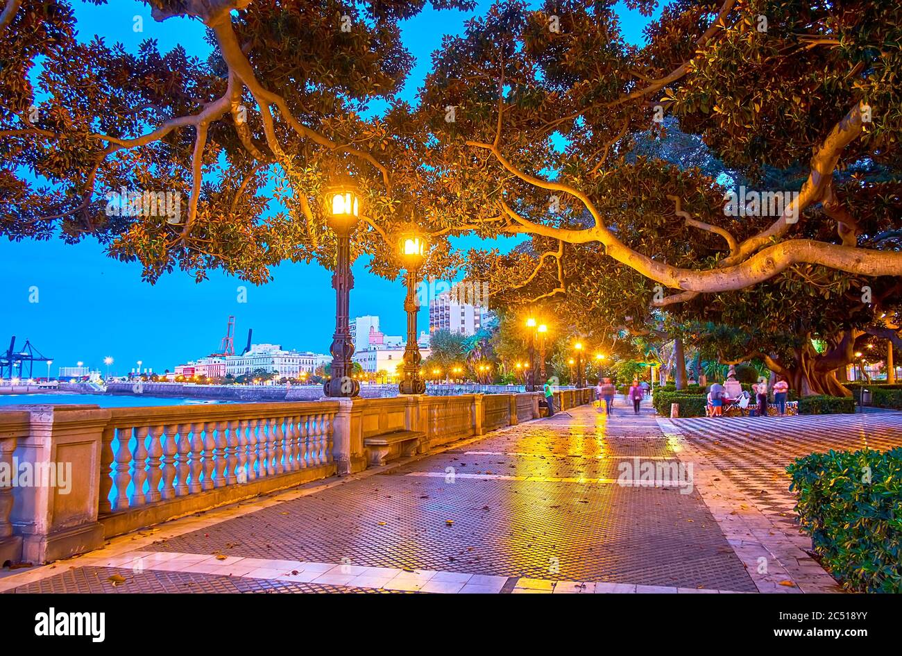 Enjoy the evening walk along the coast and San Carlos ramparts in ...