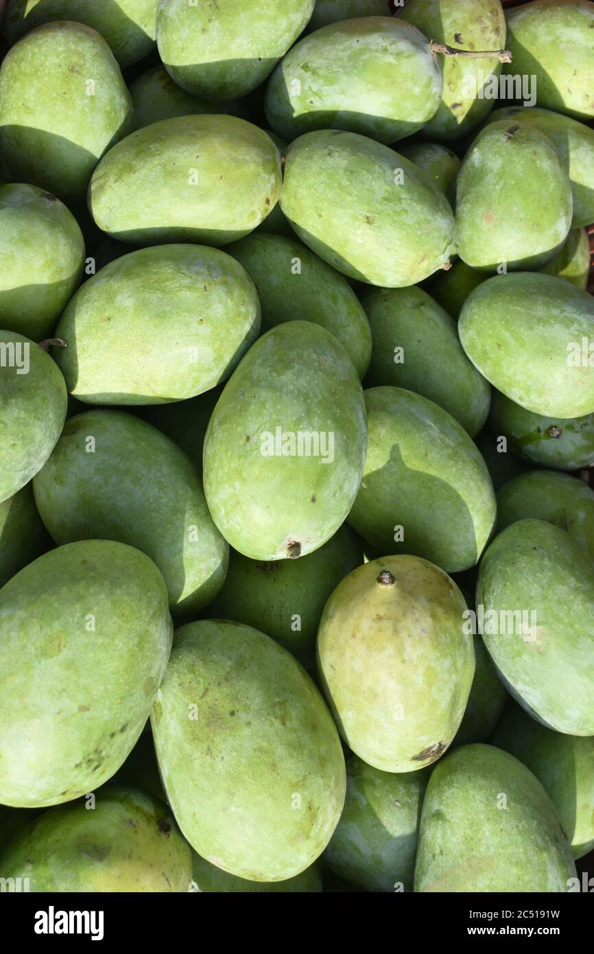 Mangoes for sale at a market place in India Stock Photo - Alamy