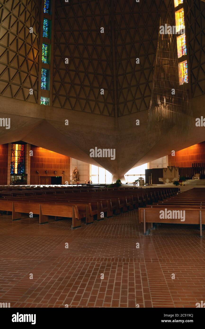 Organic Concrete Architecture