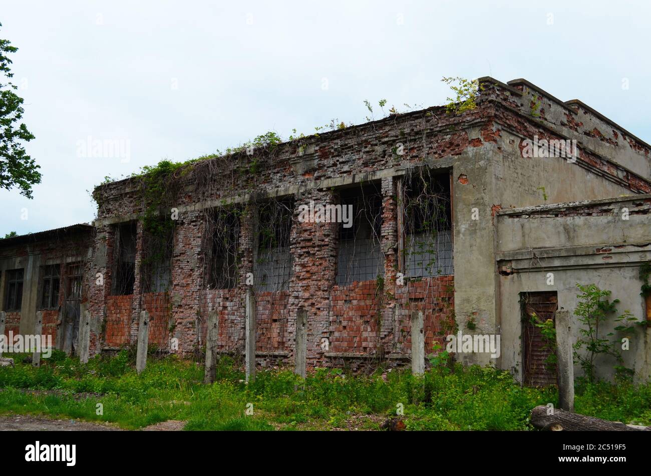Abandoned building wall hi-res stock photography and images - Alamy