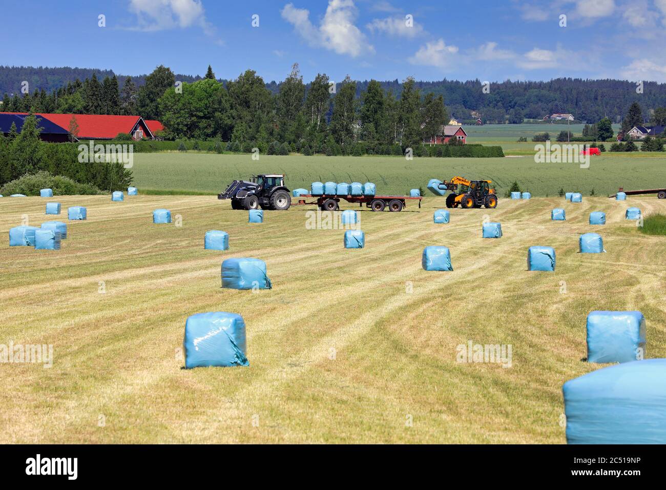 Rural scene with hay field and reach forklift stacking silage bales ...