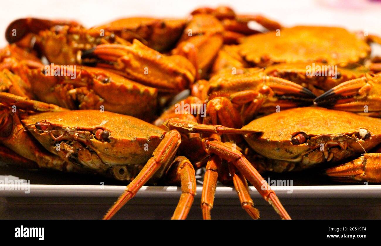 Plate of Necora puber (Velvet crab) ready to eat cold Stock Photo - Alamy