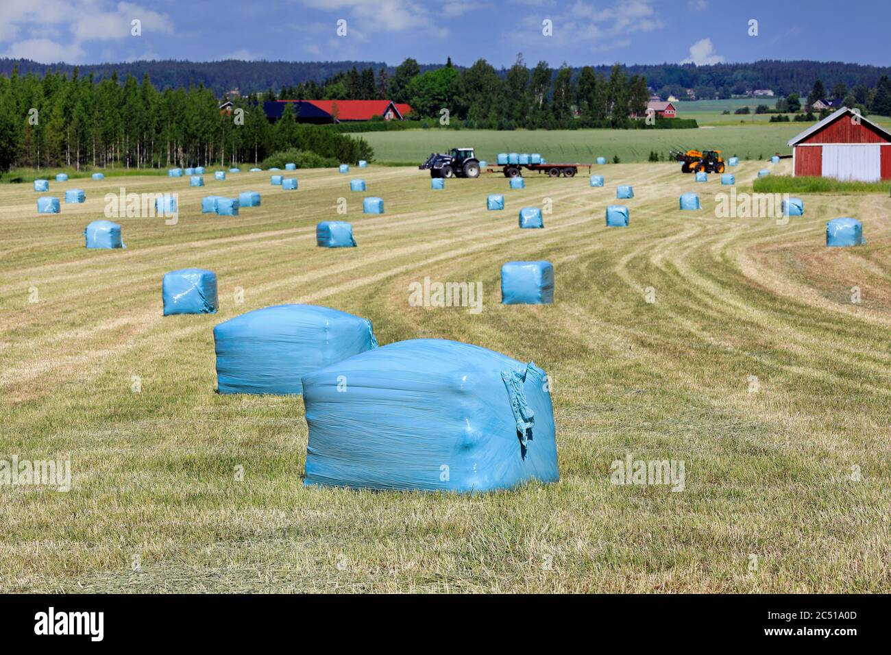 Harvest of silage hi-res stock photography and images - Alamy