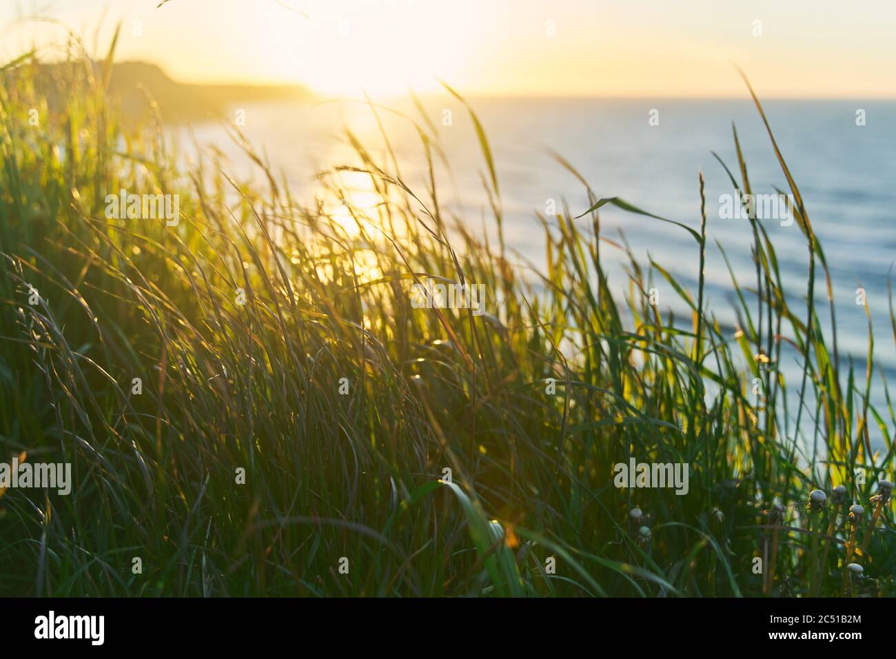 Sunset sea grass hi-res stock photography and images - Alamy