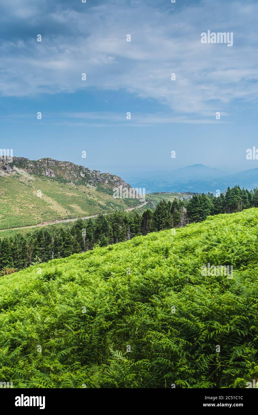 The Rhune mountain in the Pyrenees-Atlantique in France Stock Photo - Alamy