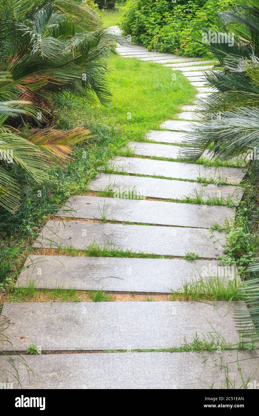The stone pavement winding its way through a tranquil forest Stock ...
