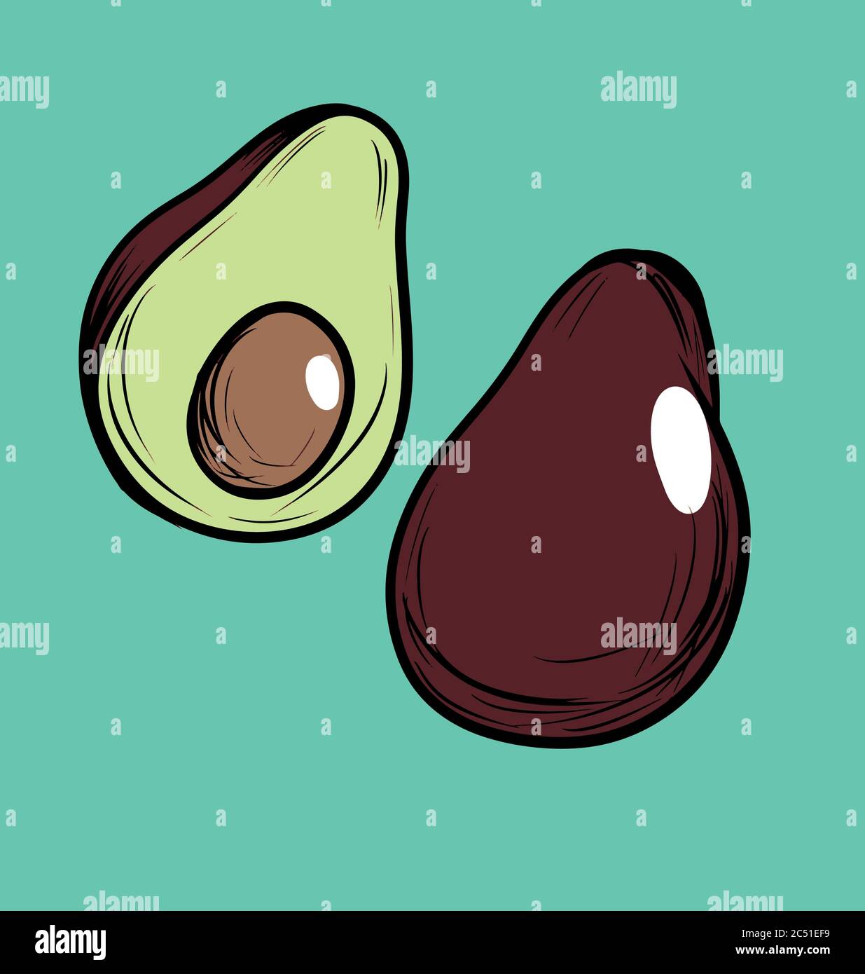 Grunge avocado cut in two slices cartoon drawing Stock Vector Image ...