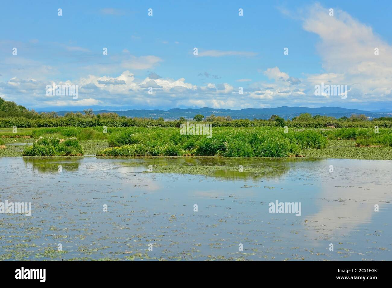 The wetlands of Isola Della Cona in Friuli-Venezia Giulia, north east ...