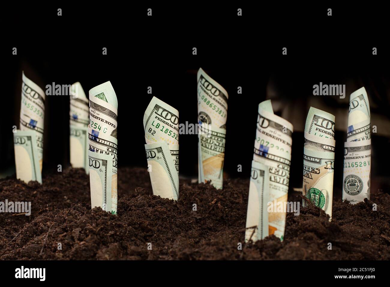 US dollars banknote cash money growing up on the field on black Stock ...
