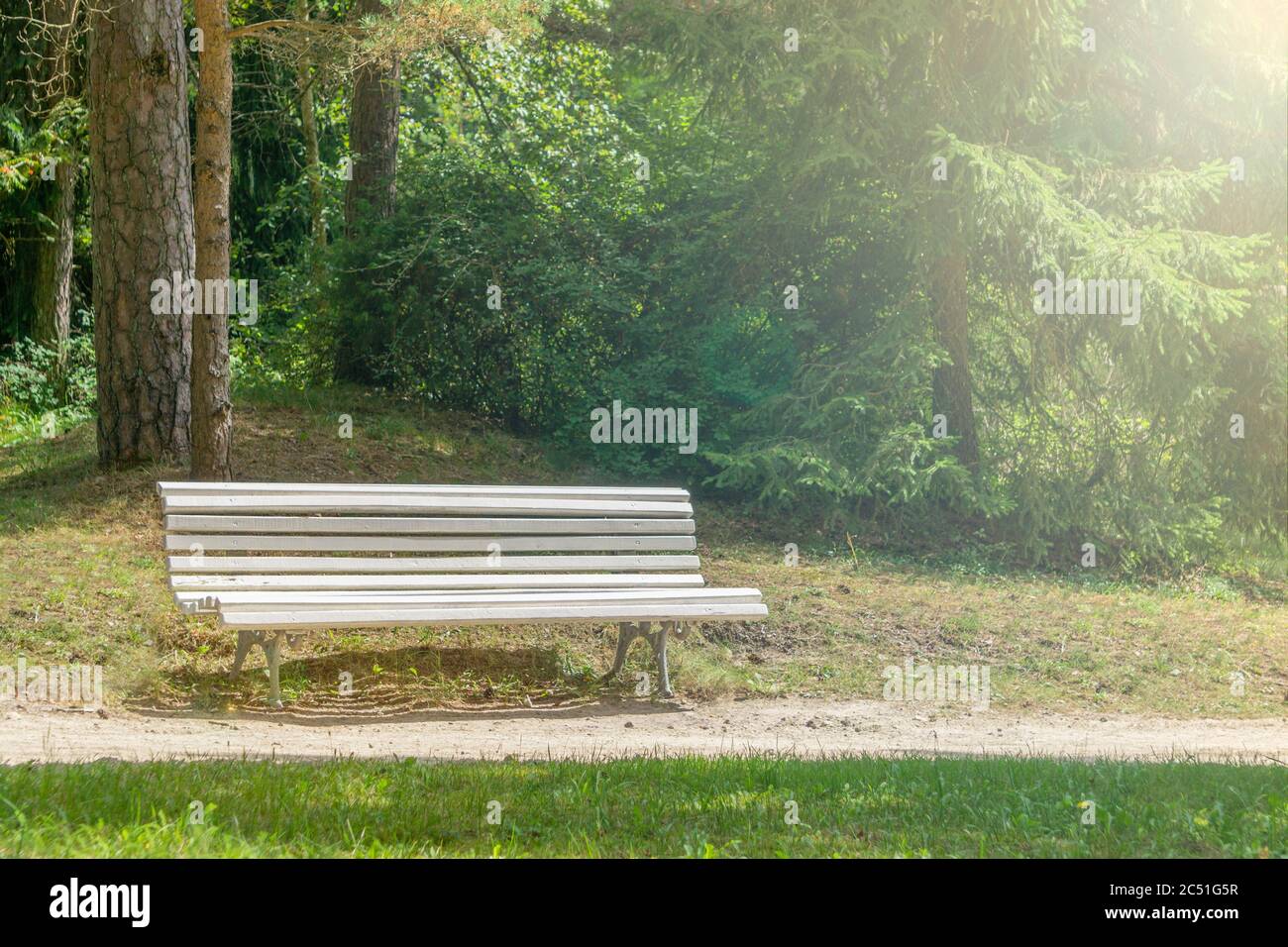 Wooden bench in summer park with old trees and footpath. Park bench ...