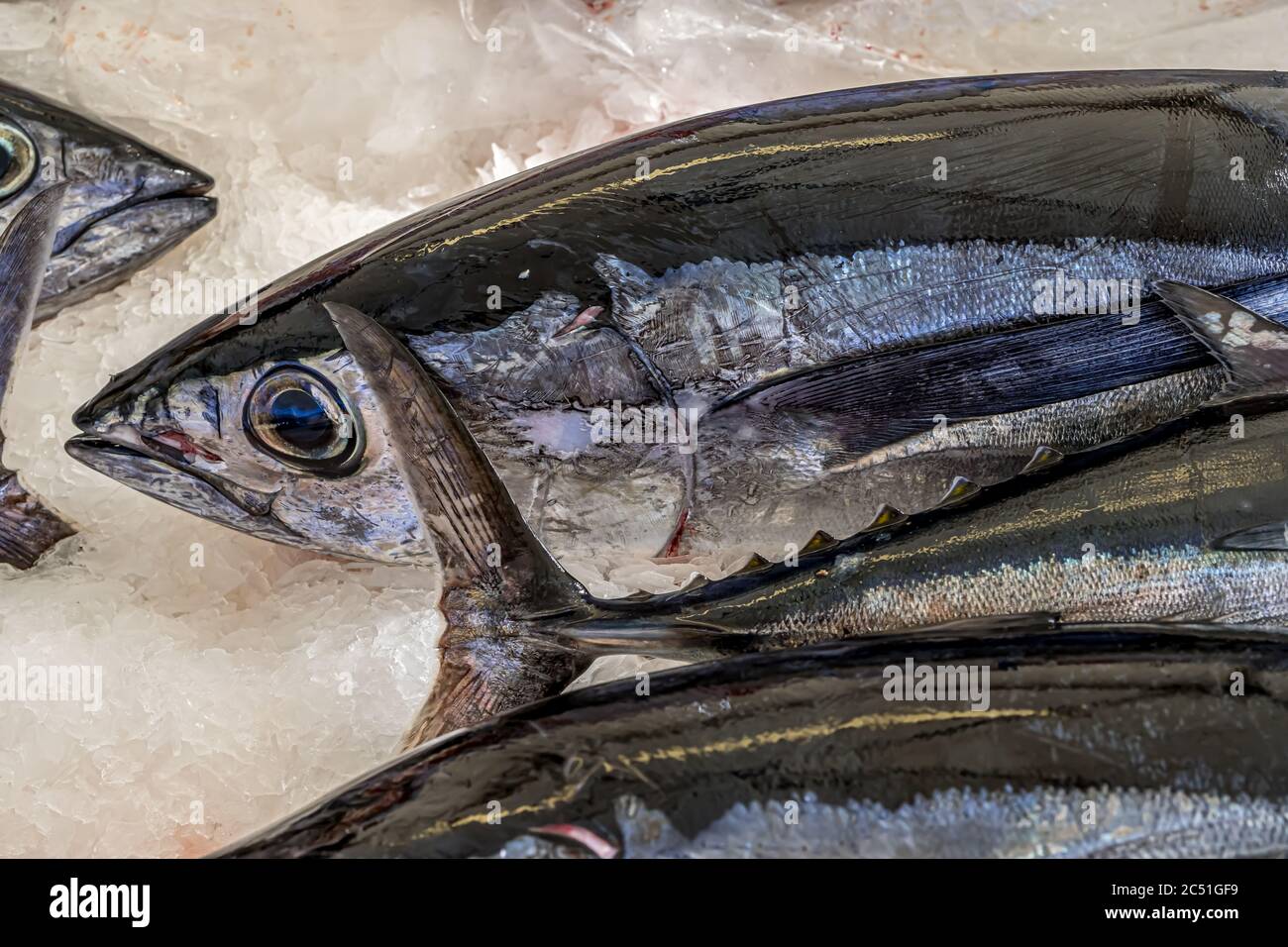 Closeup of tuna fish market on white background. Healthy fresh ...