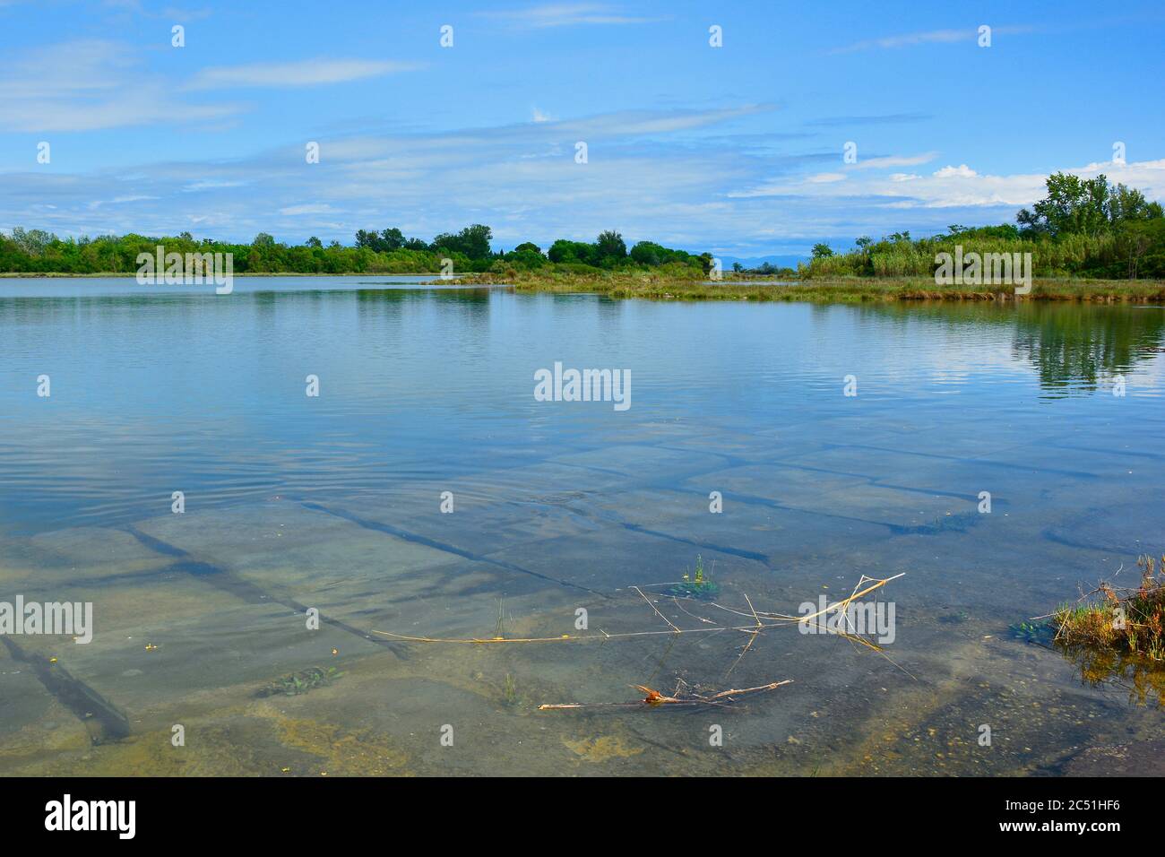 The wetlands of Isola Della Cona in Friuli-Venezia Giulia, north east ...