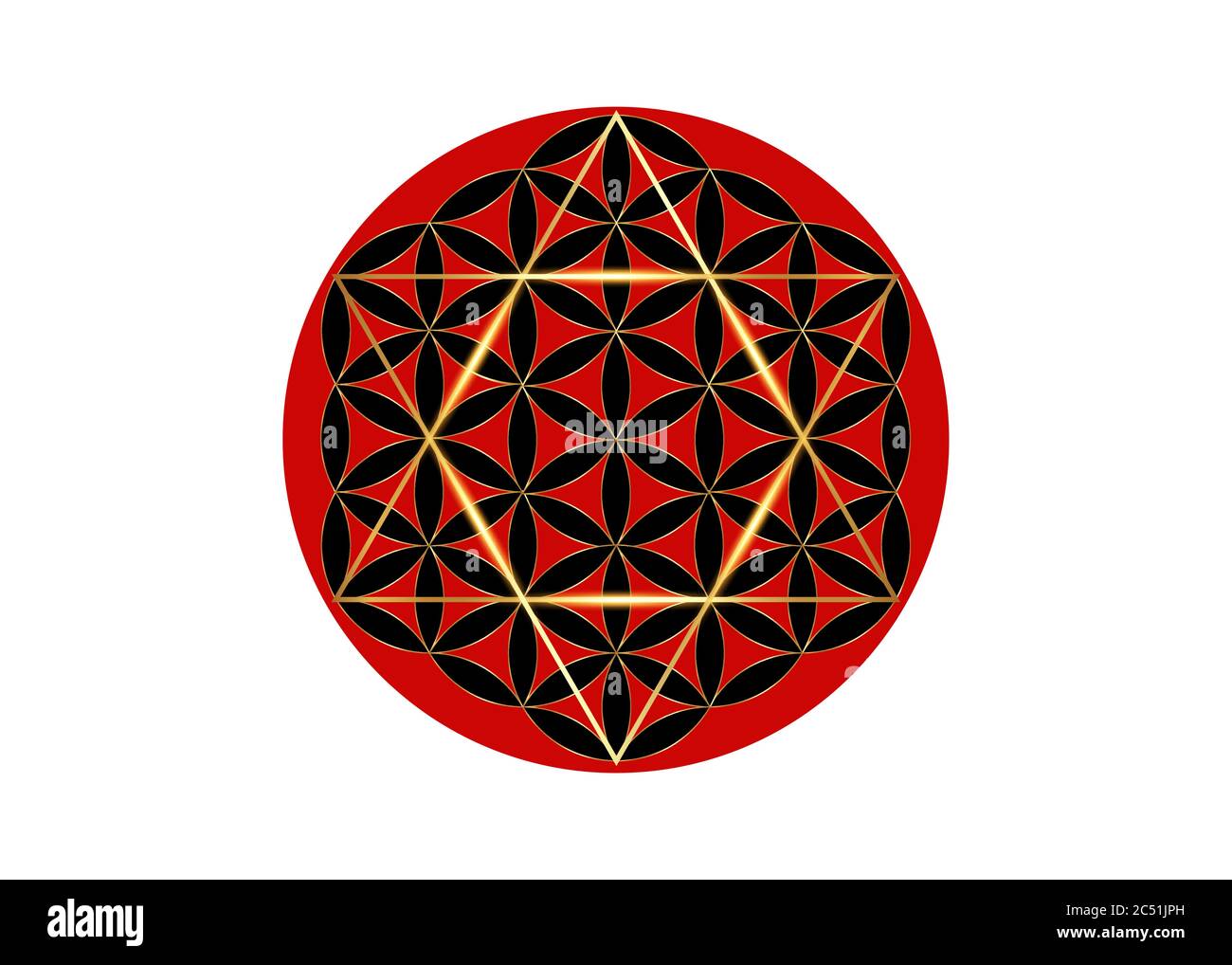 David Star with Flower of Life, Golden Sacred Geometry, Metatrons cube ...