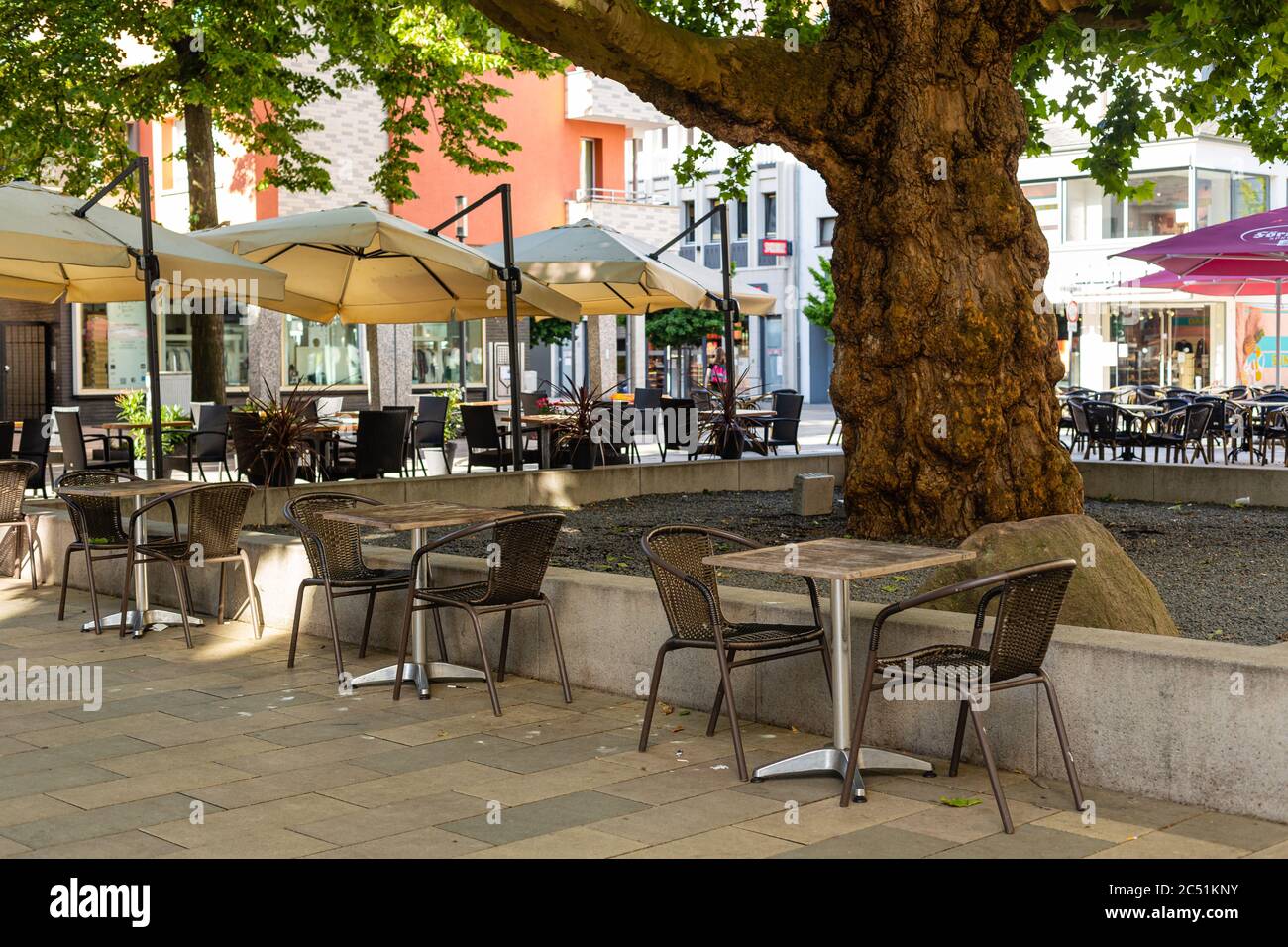Table chair under tree in hi-res stock photography and images - Alamy