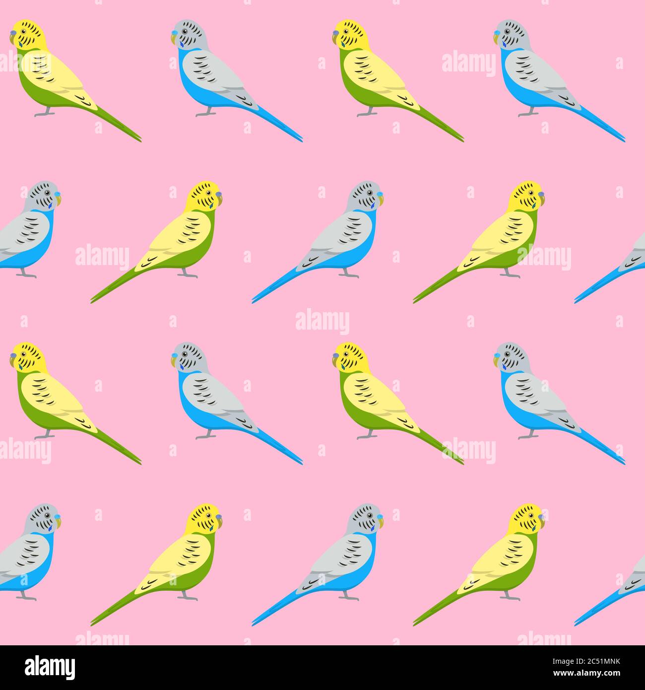 Seamless pattern with colorful budgie parrots. Repeating background ...