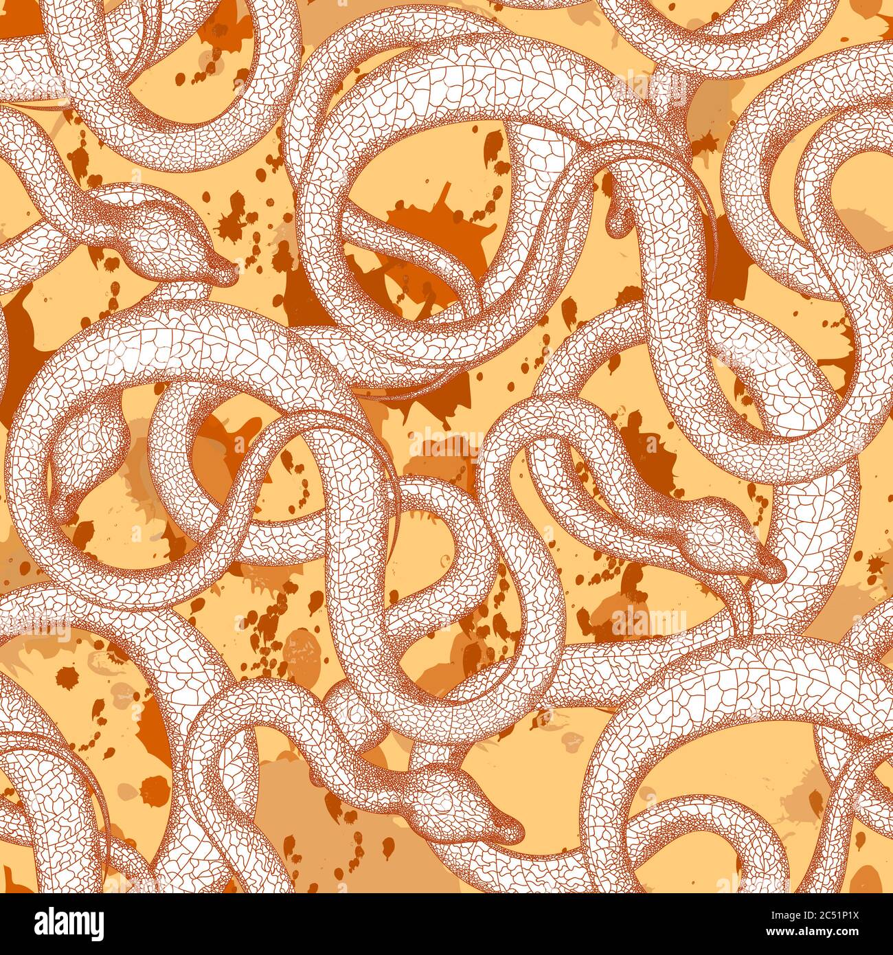 Snake exotic pattern. Snake skin. Vector illustration. Reptiles ...