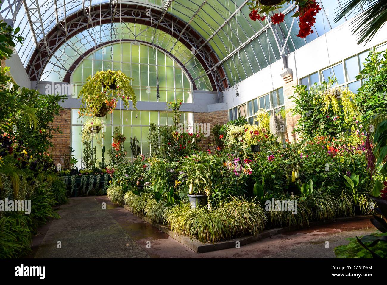 Beautiful plants and flowers in a floral greenhouse in a botanical ...