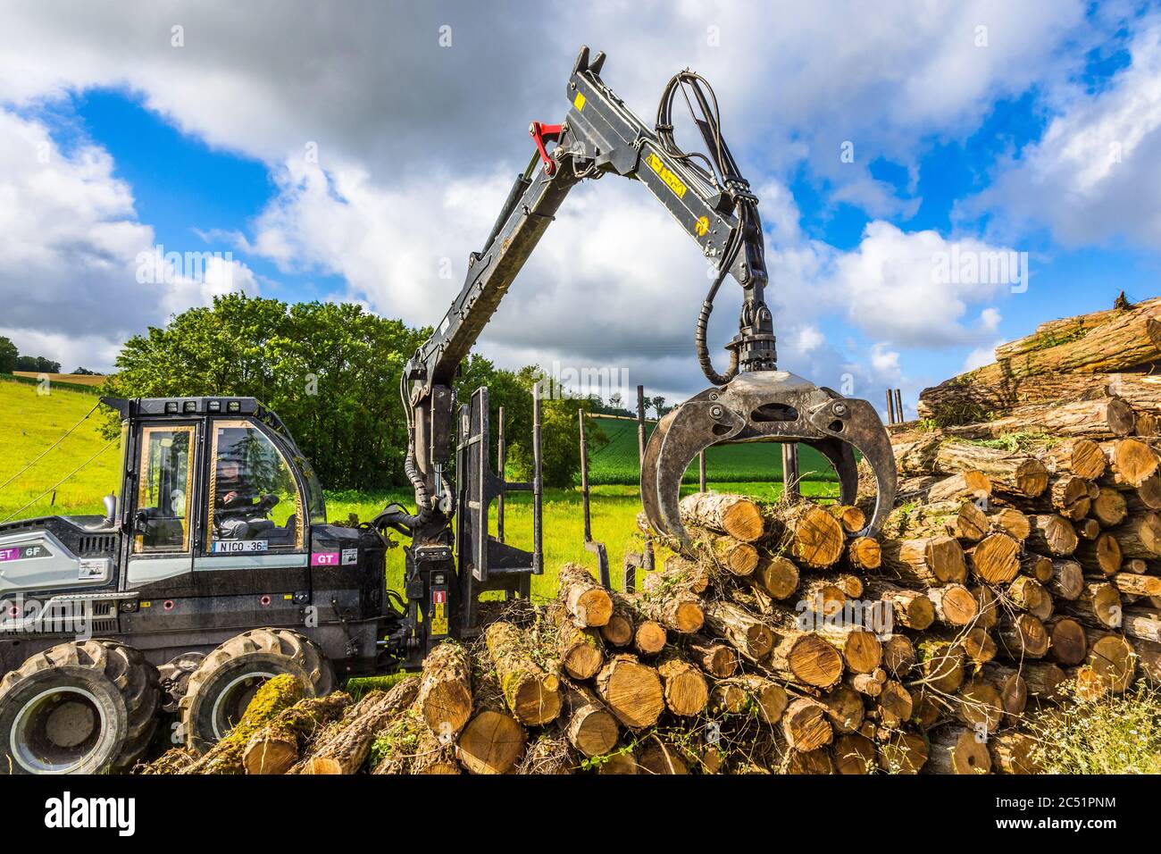 Logset 6F GT all-terrain 'forwarder' machine bringing logs from forest ...