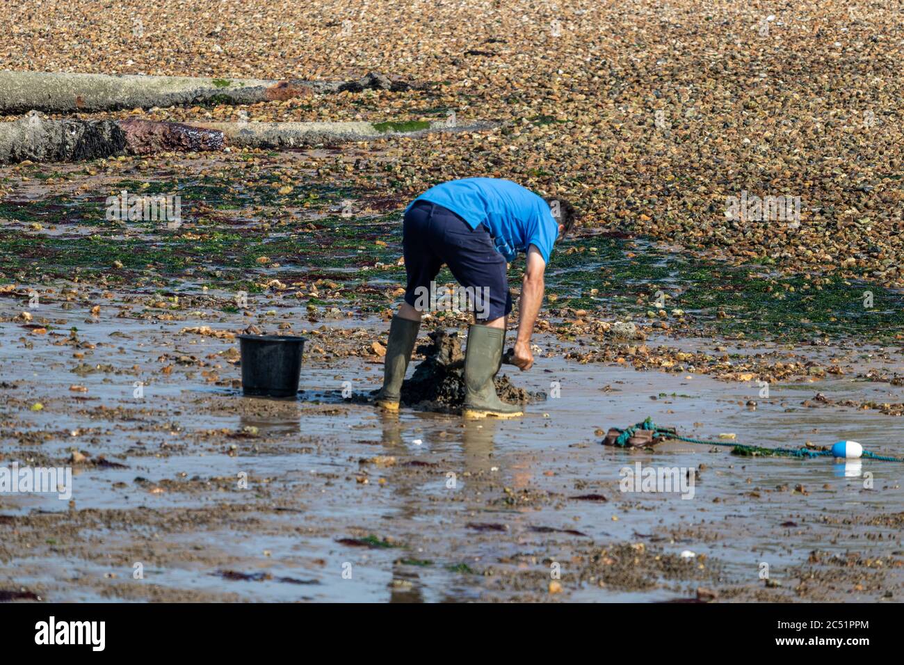 Beach lugworms hi-res stock photography and images - Alamy