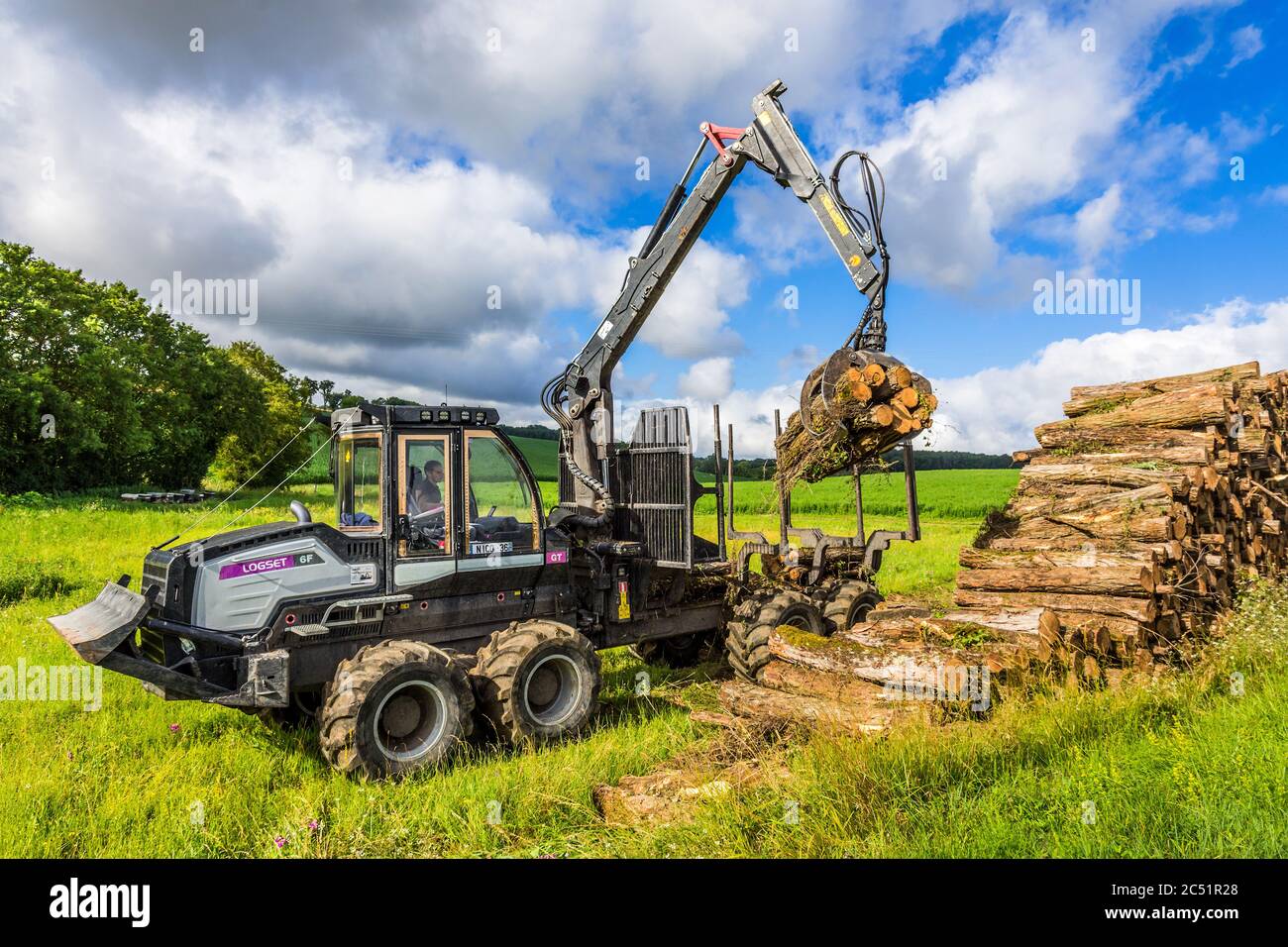 Logset 6F GT all-terrain 'forwarder' machine bringing logs from forest ...