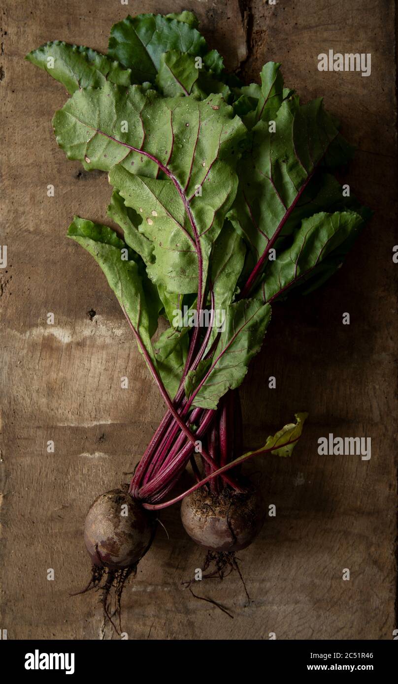 Beetroot beta vulgaris subsp vulgaris hi-res stock photography and ...
