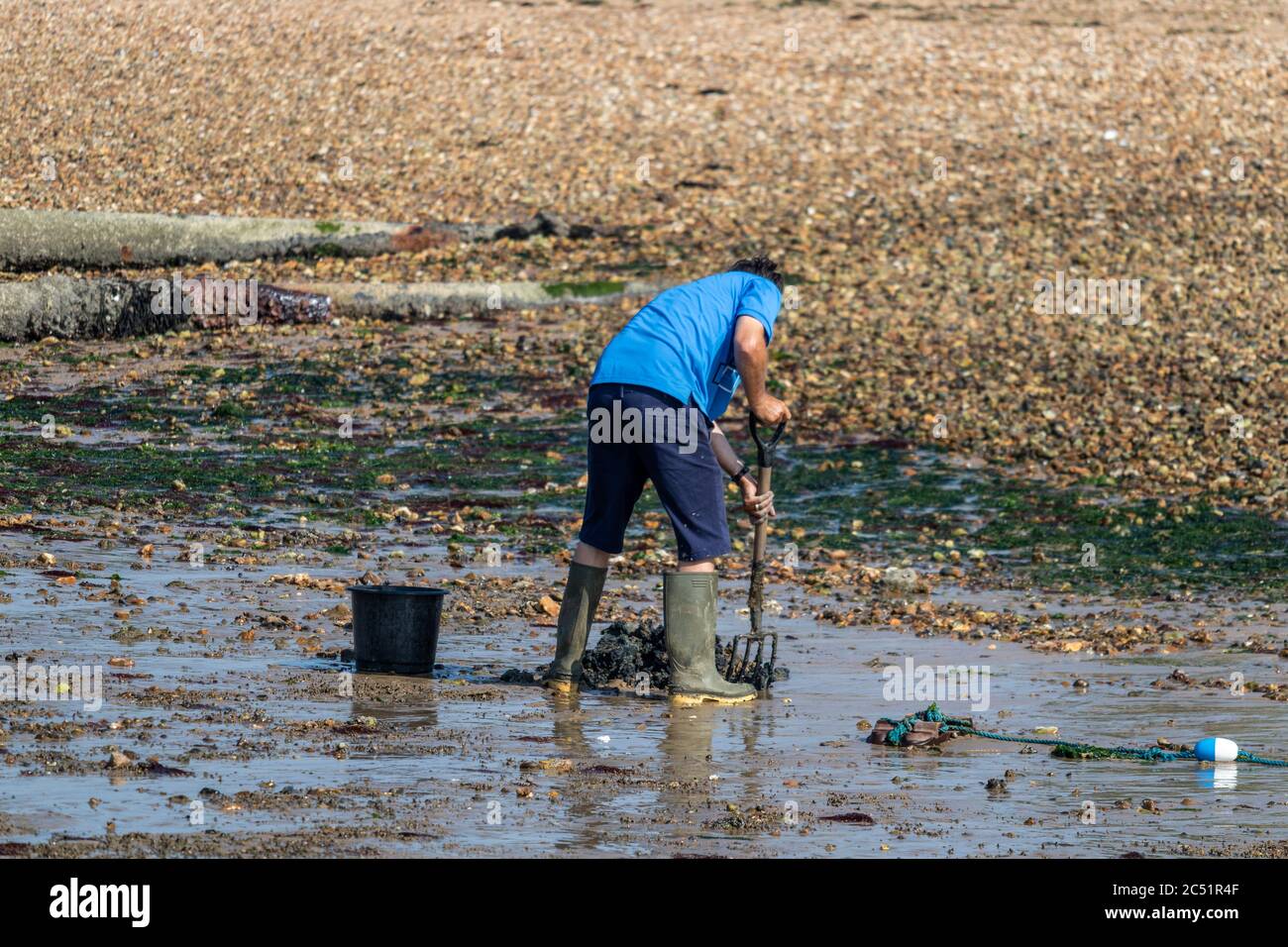 Bait digging beach hi-res stock photography and images - Alamy