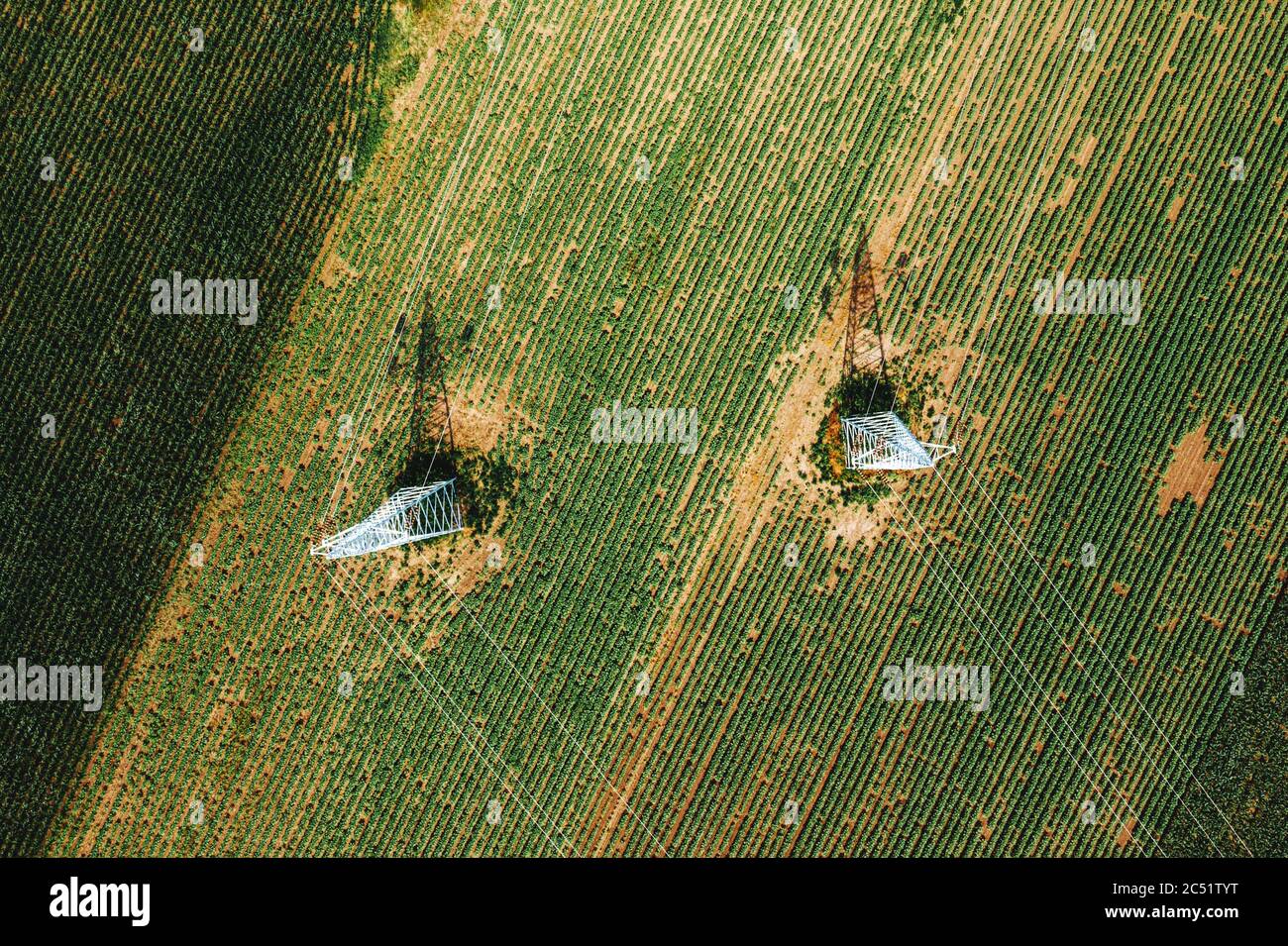 Aerial view of electricity pylons in agricultural field casting shadow ...