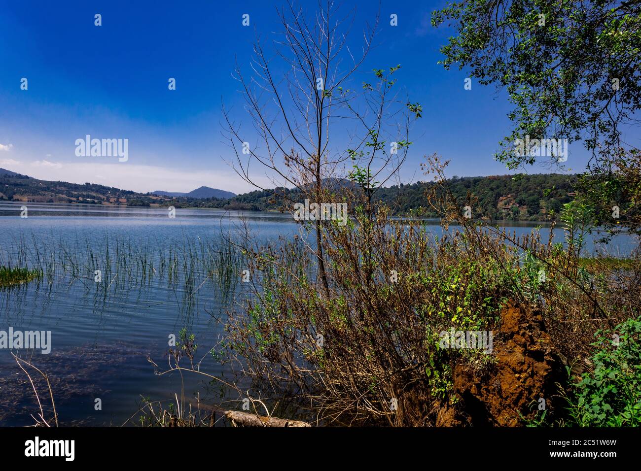 Beautiful scenery of a loch with green plants by the sea during daytime ...