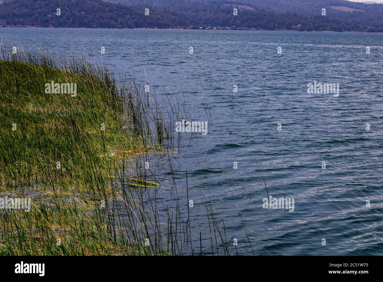 Beautiful scenery of a loch with green plants by the sea during daytime ...