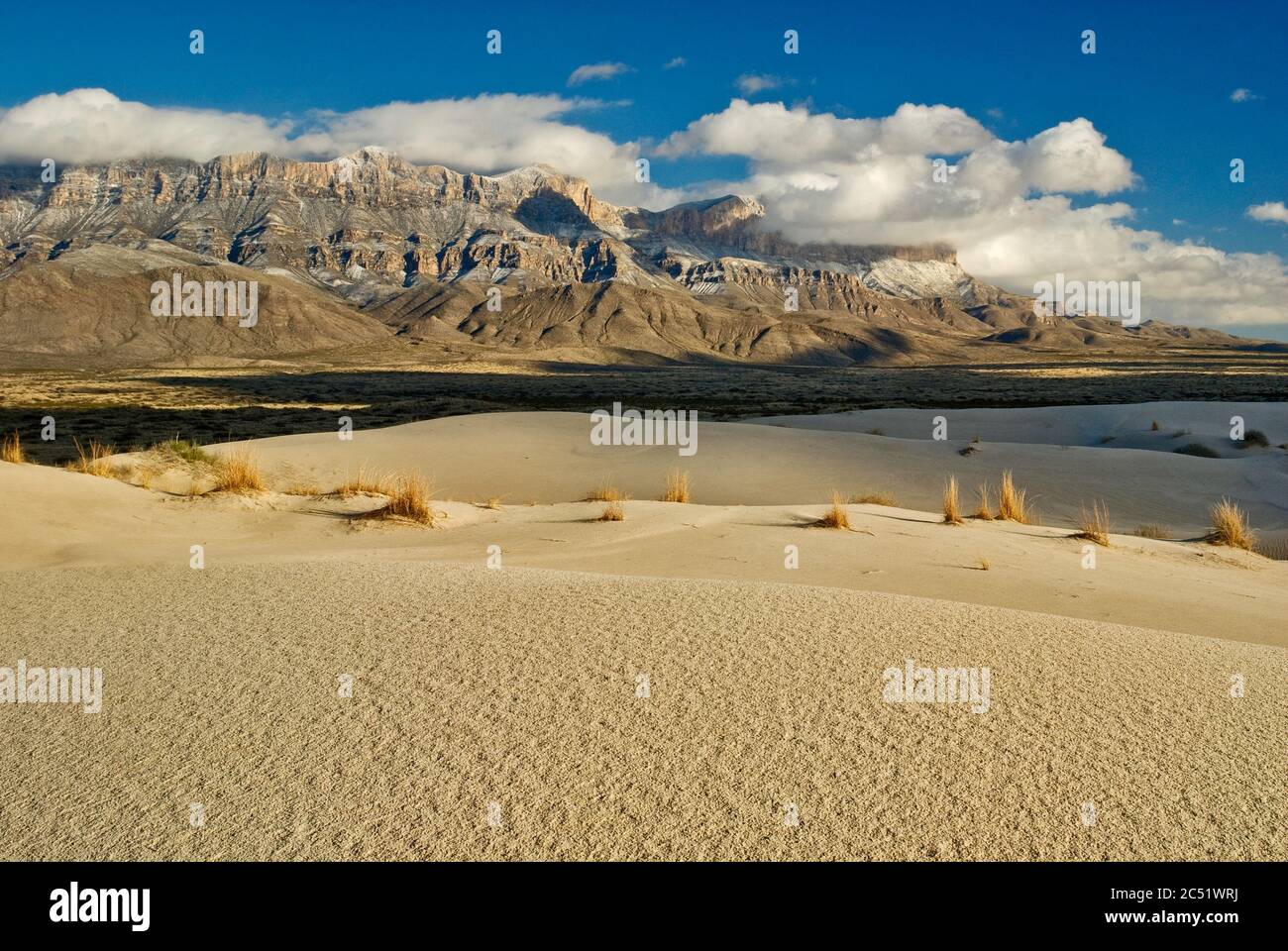 Salt Basin Dunes in front of western escarpment of snowcapped Guadalupe ...