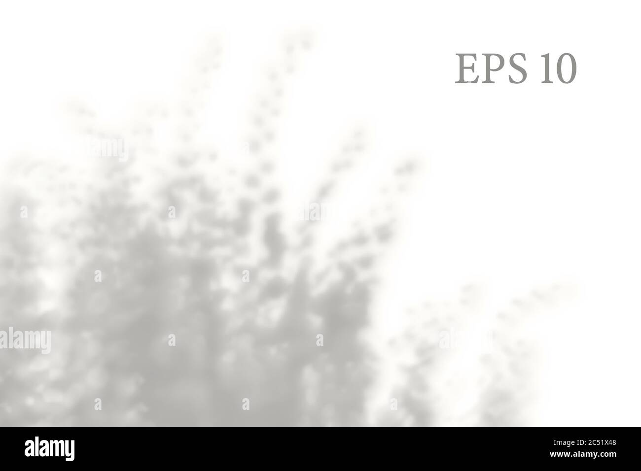 Transparent natural plant shadow. Light effect overlay. Mesh grid ...