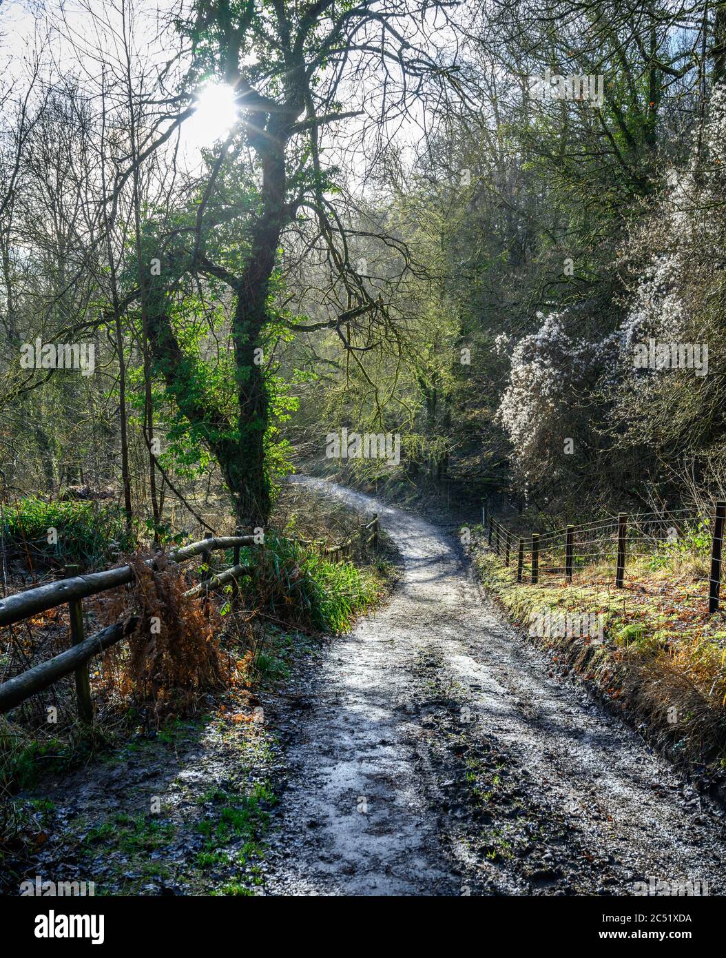 Frosty winter morning january hi-res stock photography and images - Alamy