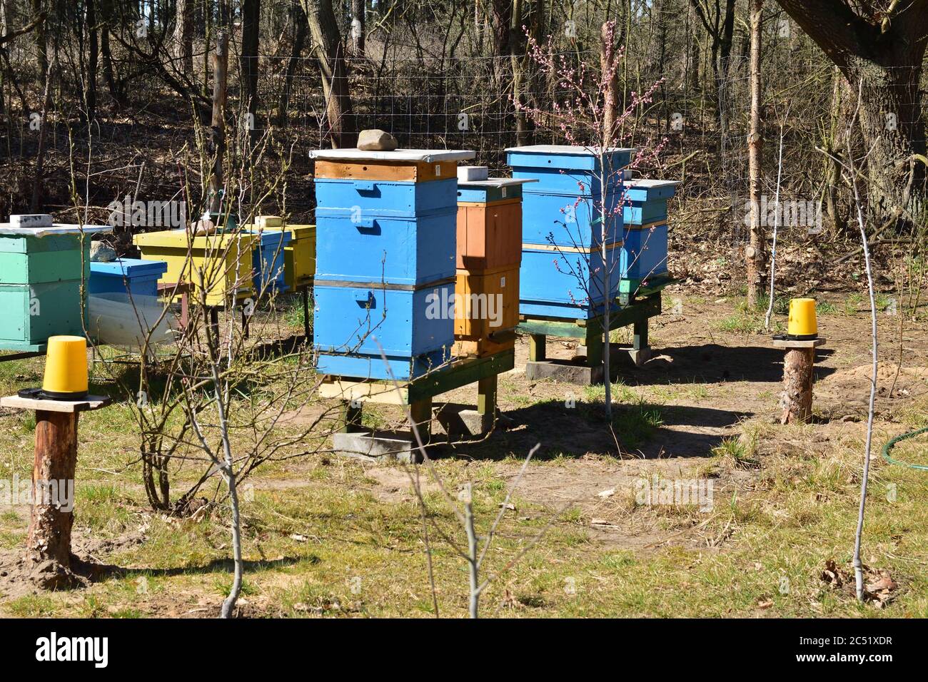 Beekeeping tourism hi-res stock photography and images - Alamy